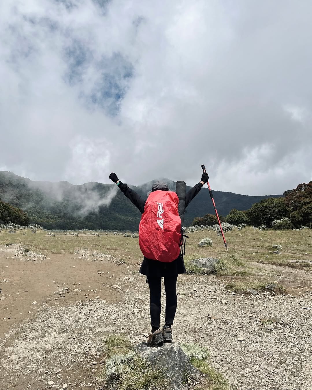 3 Jalur Pendakian Gunung Pangrango Paling Ikonik yang Wajib Kamu Jelajahi