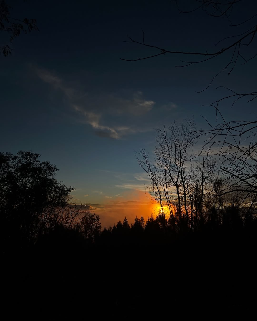 9 Alasan Sunrise di Puncak Gunung Arjuno Wajib Masuk Bucket List ...